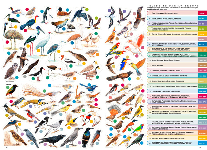 Steve Parish Field Guide: Australian Birds Hardback Morcombe Michael Paperback 9781740214179 | eBay